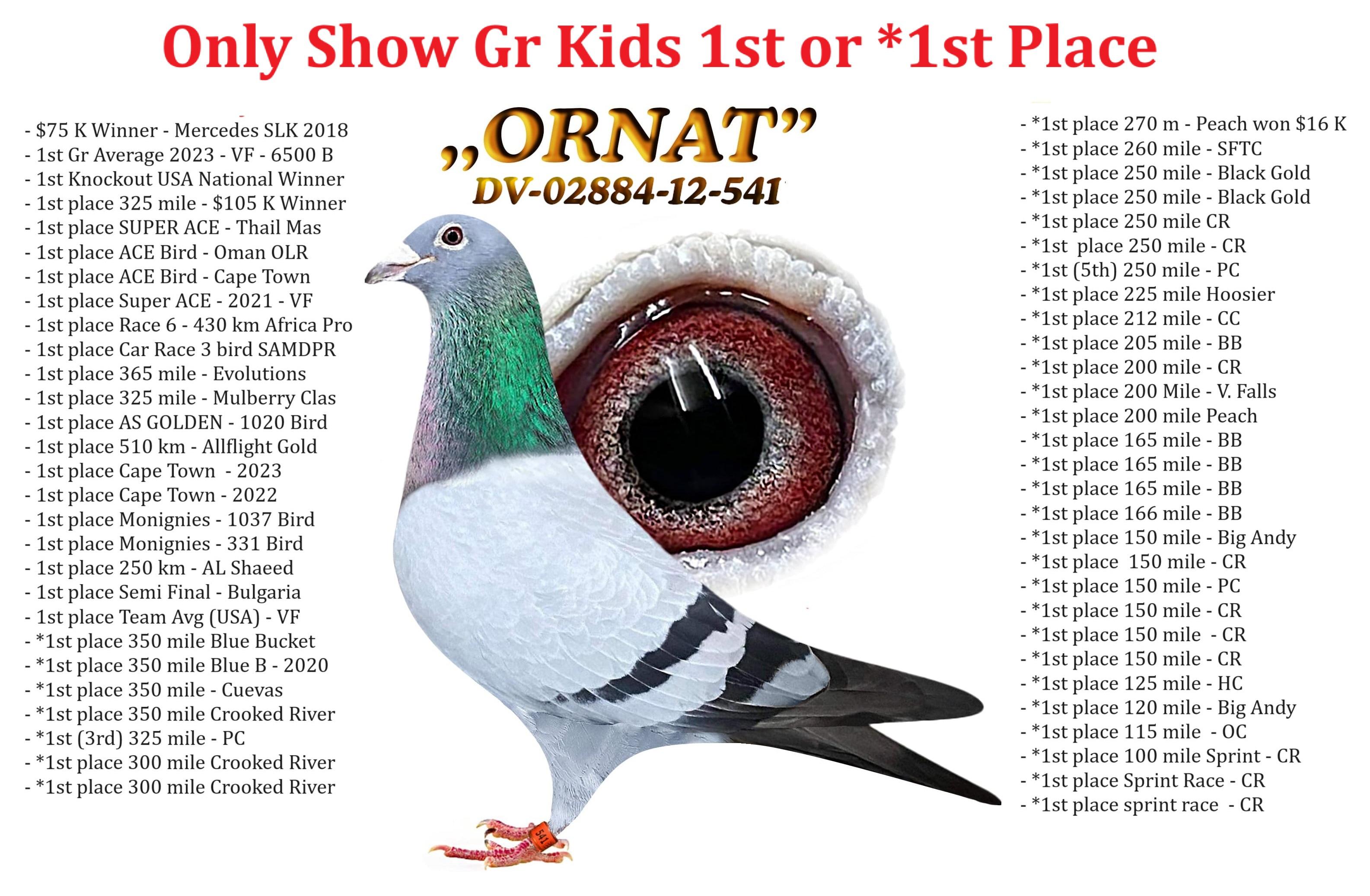 ADO FAMILY LOFT - BestPigeons.com